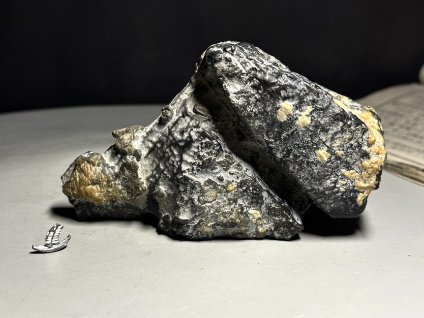 【三顧茅廬 • 精品第1114拍】精品嚴選 粉絲福利標 四大名石之首~已絕礦石材!正宗靈璧石擺件【翰墨江南·宕空山·文房山石·靈壁石（酌潤閣 ...